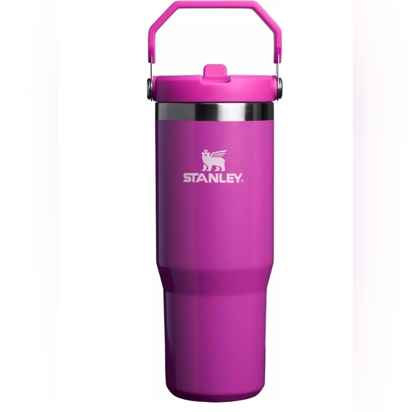 Stanley | Dining | Stanley3 Oz Flip Straw Tumbler Punch Shimmer ...